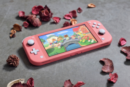 Nintendo Donation Request: Eligibility, Donation Types, Resources